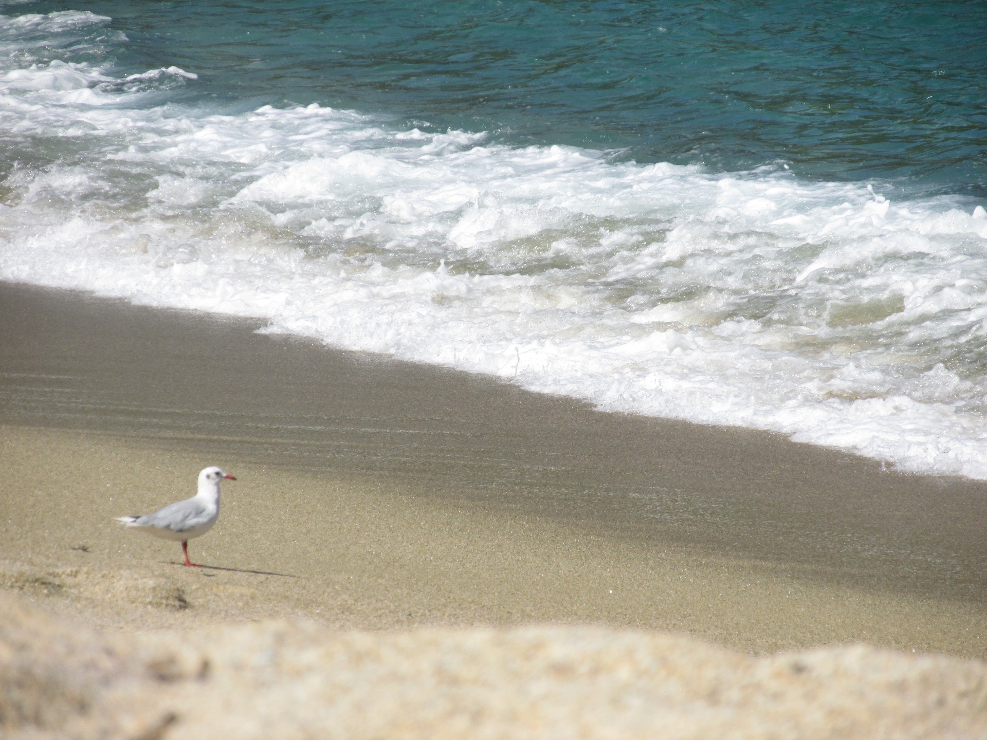 Caleta-condor-turismo-aventura