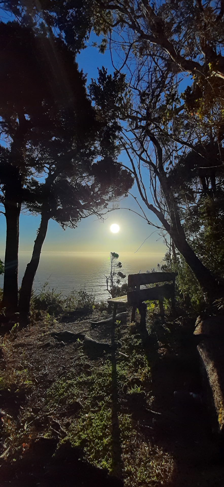 Caleta-condor-turismo-aventura